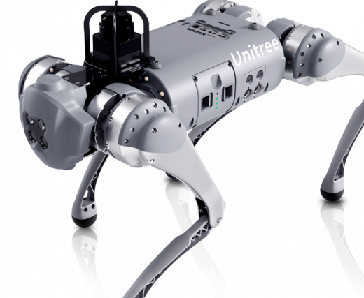 Unitree Go1 Edu Plus — AM